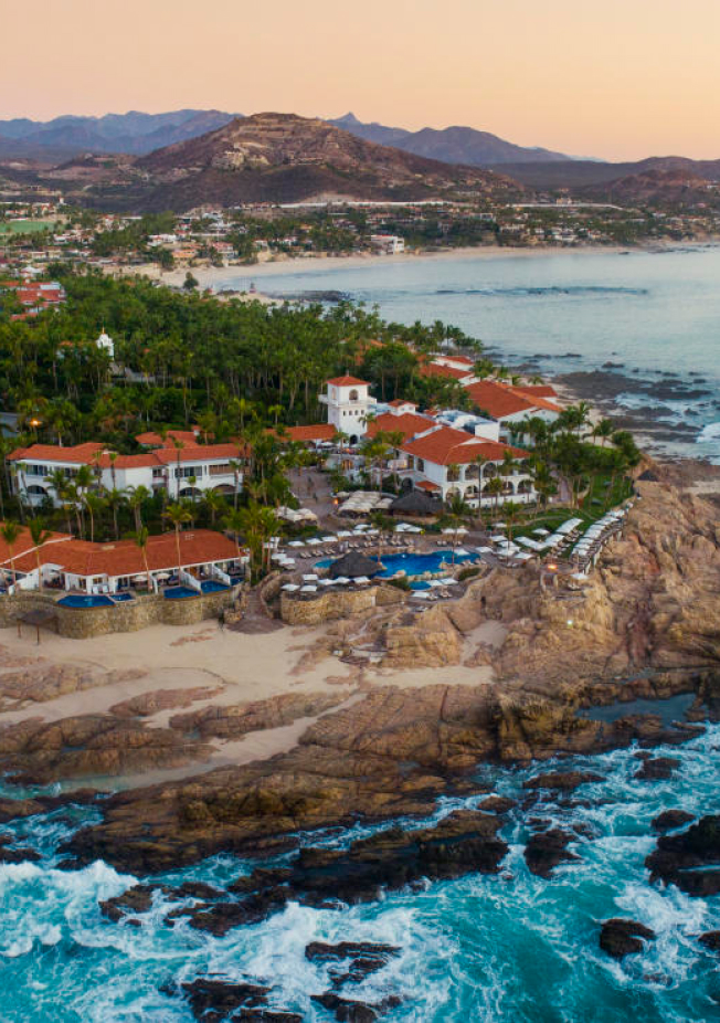 Live - Palmilla Reserve